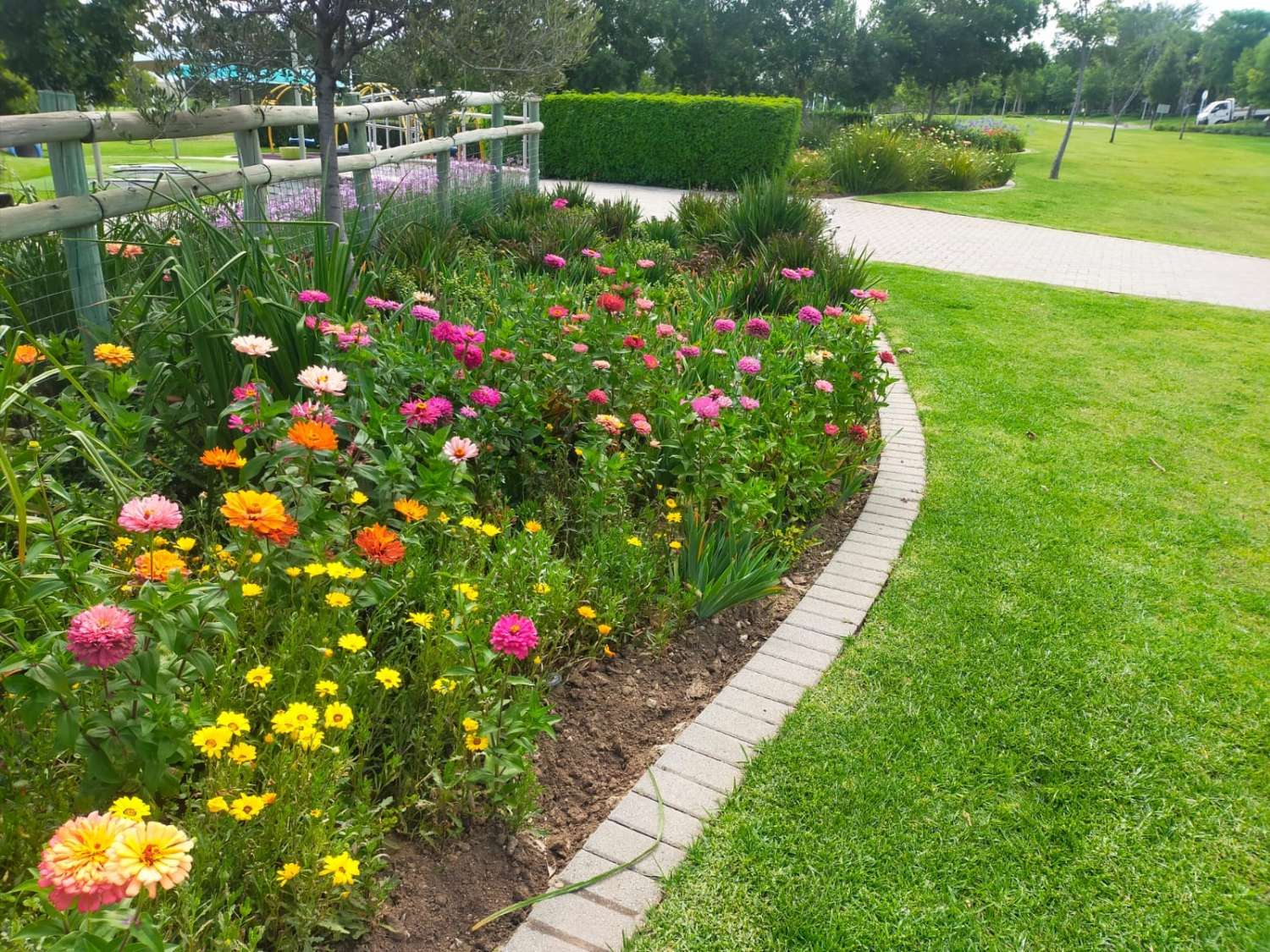 Quality Organic Compost | Landscaping Services