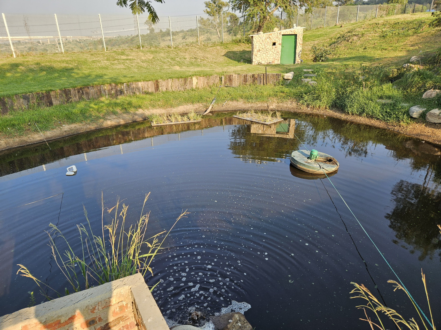 Quality Organic Compost | Landscaping Services