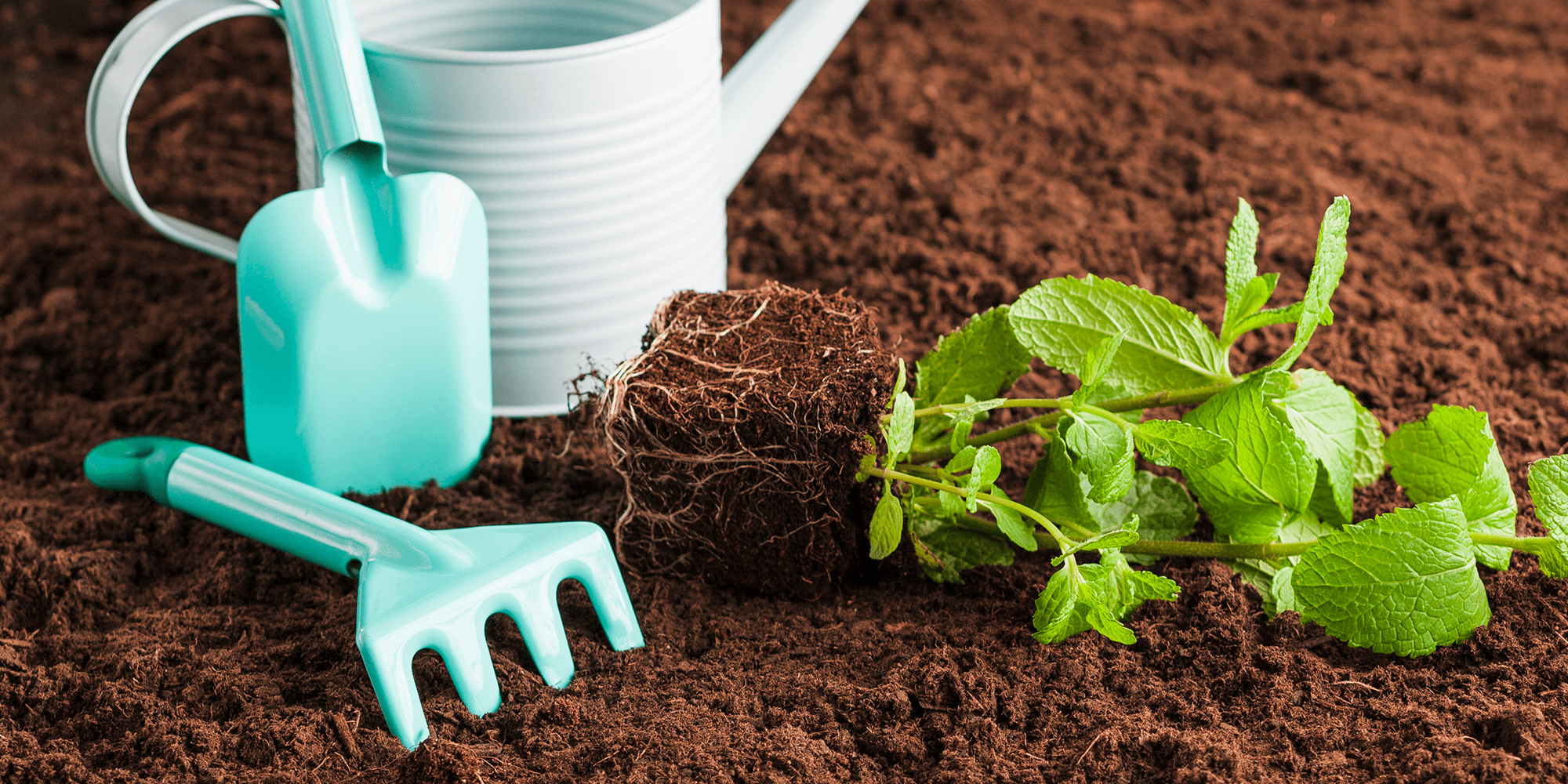 Choosing the Right Compost for Different Types of Plants | Turfnet SA ...