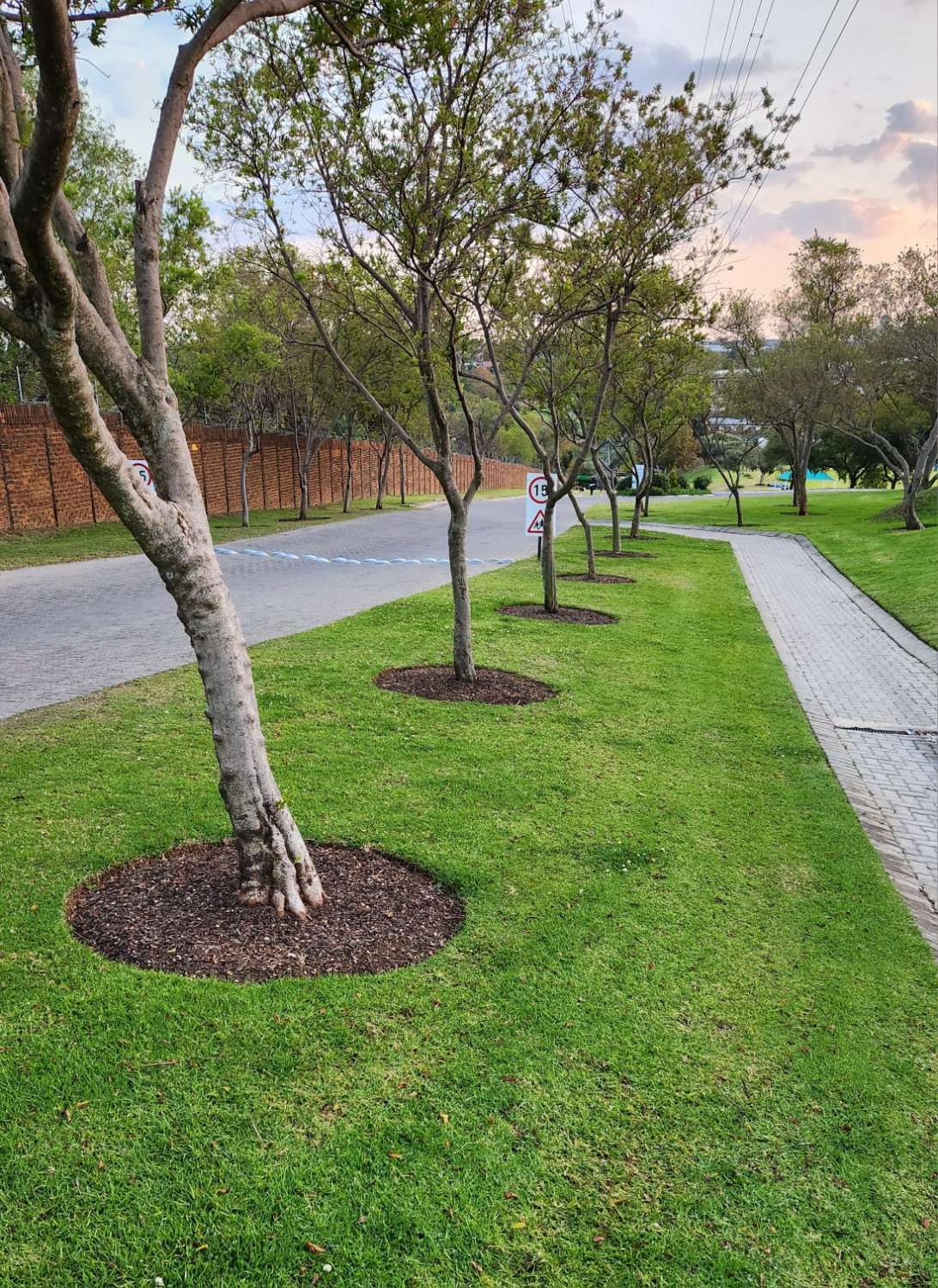 Quality Organic Compost | Landscaping Services