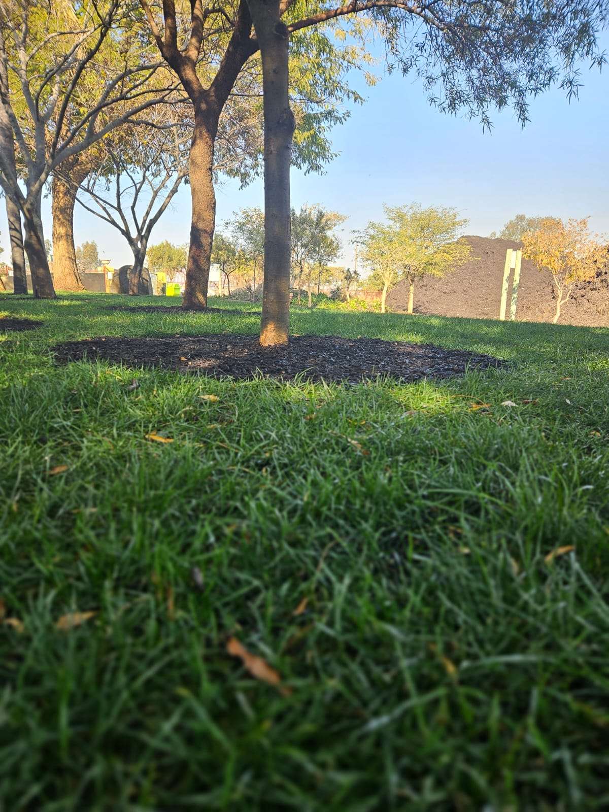Quality Organic Compost | Landscaping Services