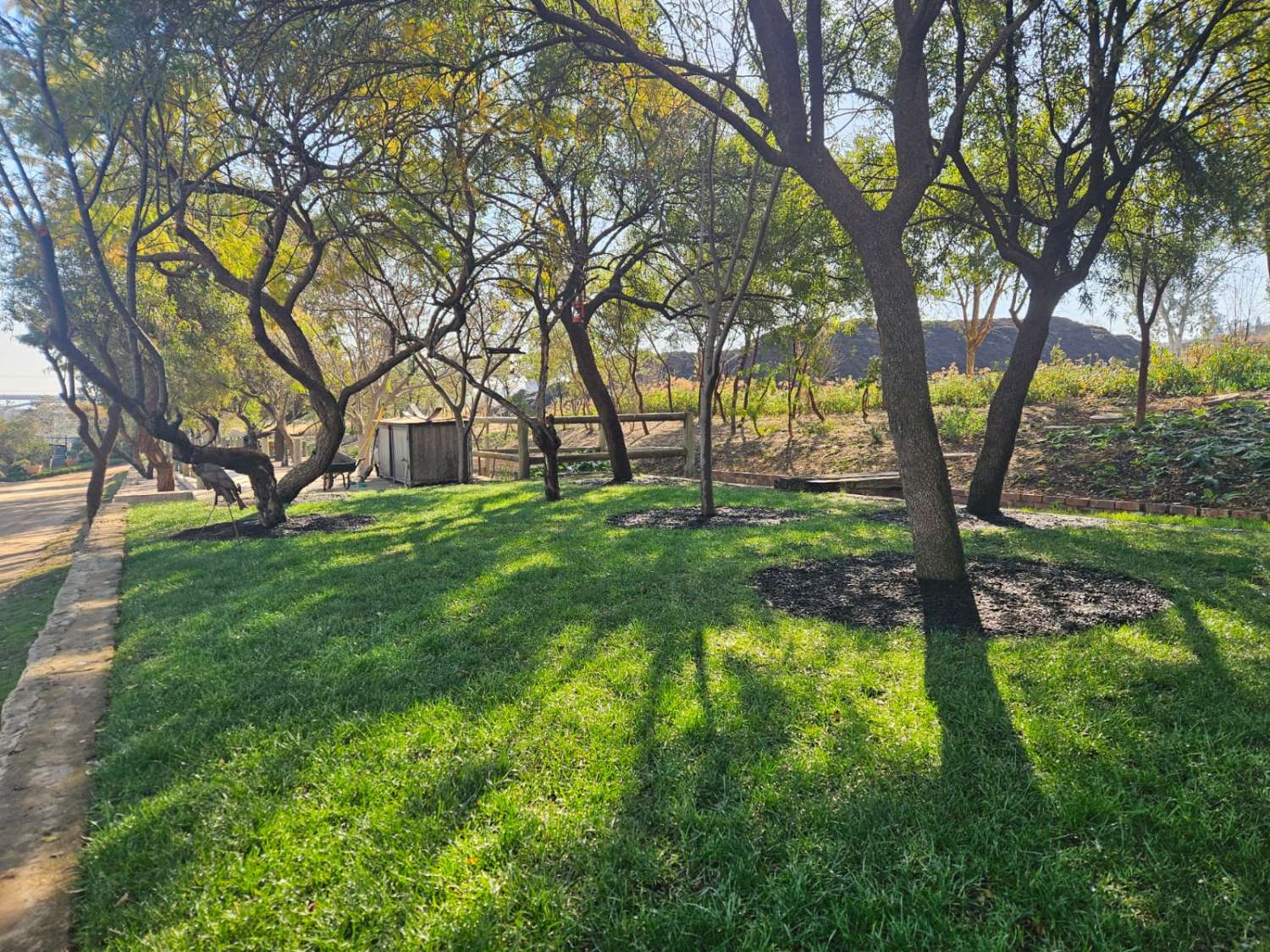 Quality Organic Compost | Landscaping Services