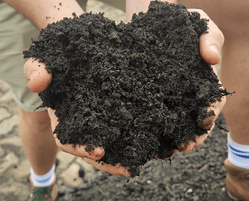 Quality Organic Compost | Landscaping Services